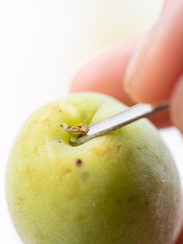 How to Make Korean Green Plum Syrup (Maesil-cheong) | Homemade ...