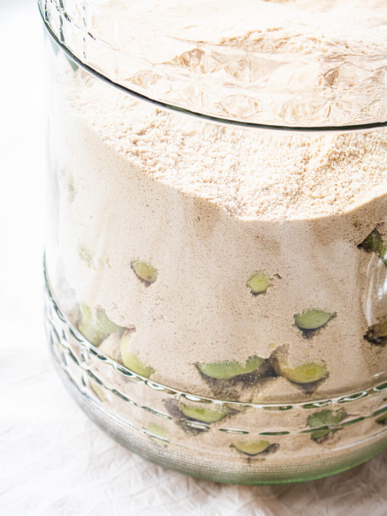 How to Make Korean Green Plum Syrup (Maesil-cheong) | Homemade ...